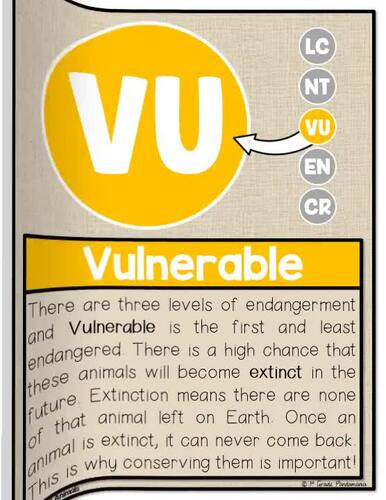 Endangered Animals Information Posters and Trading Cards | TPT