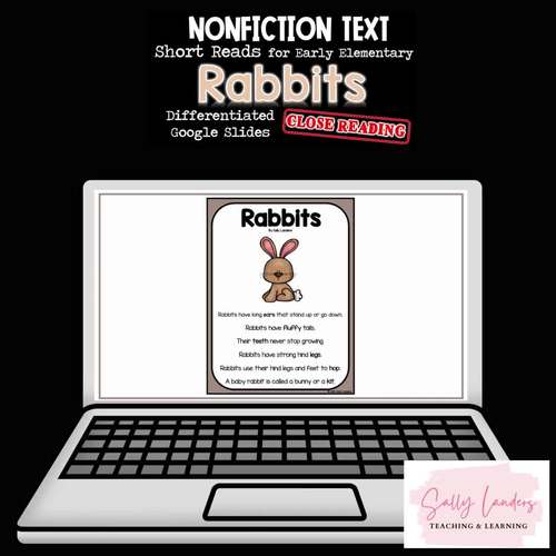 RABBITS Nonfiction CLOSE READING Print & Digital Pack by Sally Landers
