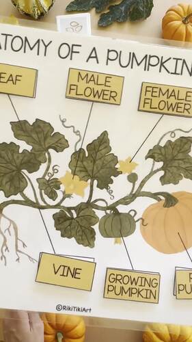 Pumpkin Unit Study Homeschool Preschool Charlotte Mason Fall Learning ...