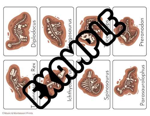 Dino Fossil and Skeleton Matching//Montessori 3 Part Cards//Info Cards