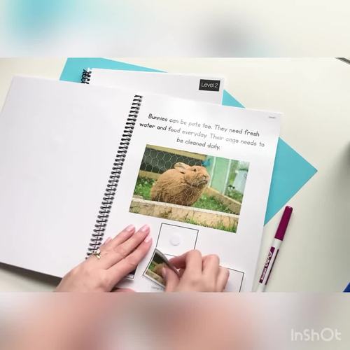 Functional Life Skills | Pets Adaptive Book for Special Education ...