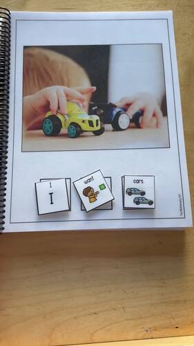 WANT Core Word AAC Adapted Book Task Cards Worksheets Activities Autism