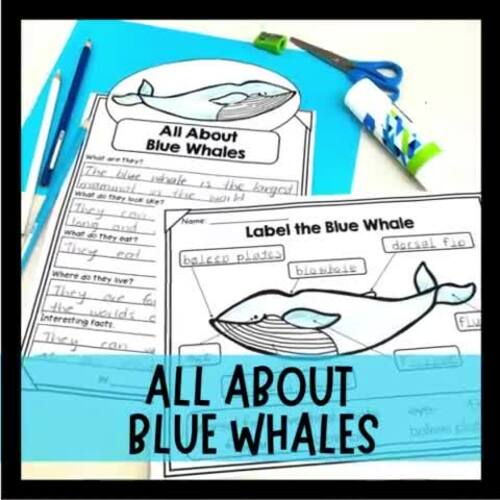 Blue Whale Informative Writing | Antarctic Animal Science | Label A ...