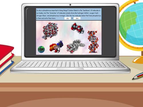 The Phosphorus Cycle Interactive Digital BOOM Review Activity | TPT
