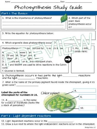 Photosynthesis Study Guide- distance learning by Biology Roots | TpT