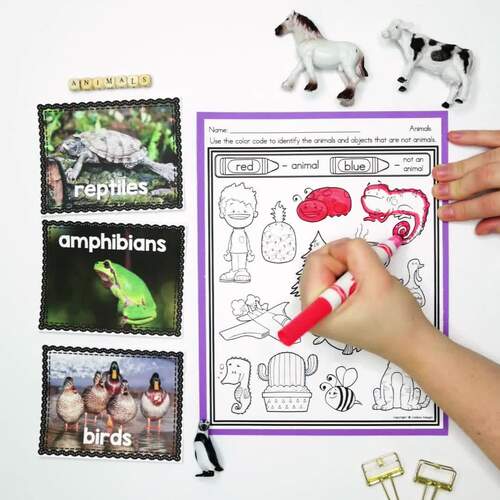 Animals Activities for Body Coverings, Movement, Types and Life Cycles