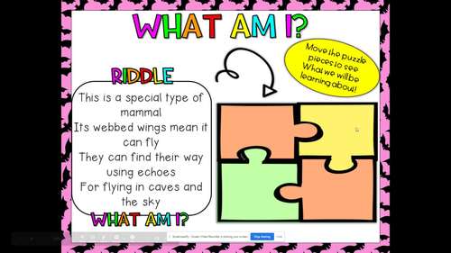 Digital Bat Research Activities | Bat Reading Passages by Little Mrs Bell