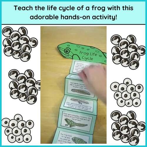 "Life Cycle of a Frog" | A Cut-and-Paste Accordion Book for an ...