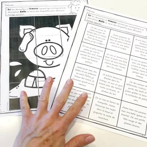 French Reading Guess Who? | Lecture Qui suis-je? Les animaux by Prof et ...