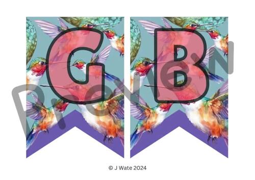 Bird Research Project | Hummingbird Writing Activity | Fact File Worksheets