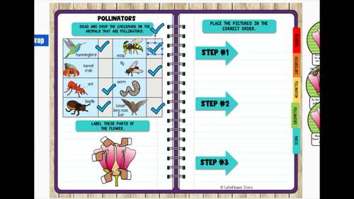 Pollination Interactive Notebook, worksheets by Latinflower Lessons