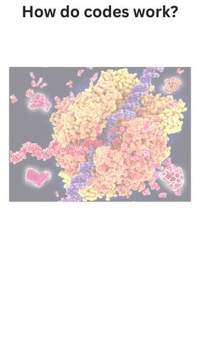 AP Biology DNA, RNA Standardized Test Prep Unit High School Biology