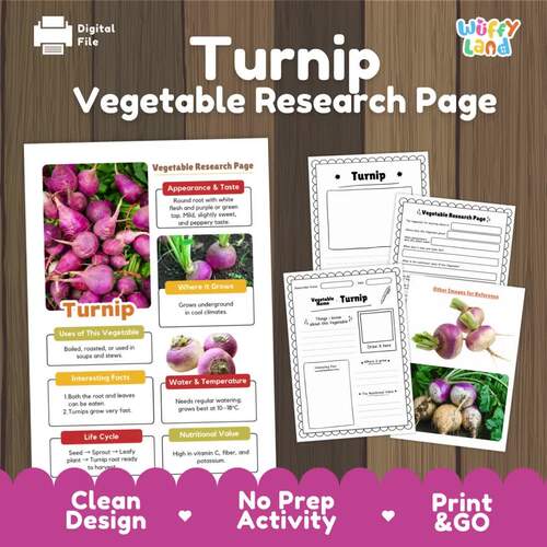 Turnip Vegetable Research Project | Plant Science Activity | Healthy Eating