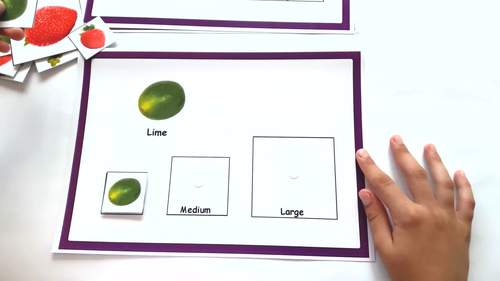 Fruit Sorting by Size Activity for Special Education | TPT