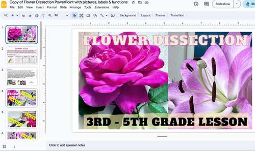 Flower Dissection PowerPoint | Parts of a Flower - Valentine's Day