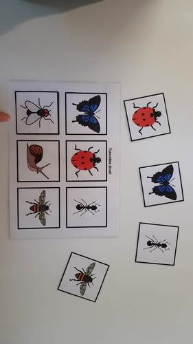 First 85 words Let's Help Our Toddlers Speak by Playful learning shop