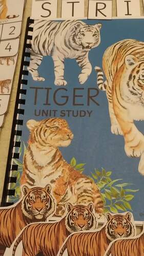 Tiger Unit Study | 61 Page Homeschool Nature Study | Classroom Learning ...