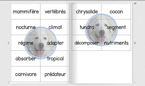 FRENCH Reading Comprehension Les animaux compréhension de lecture