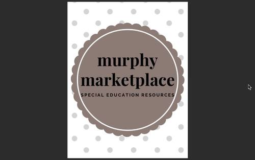 Special Education IEP Caseload Binder Organizer by Murphy Marketplace