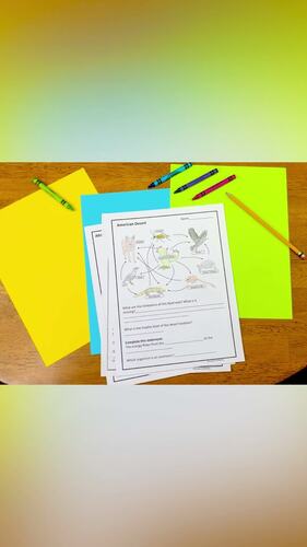 Food Web and Ecosystems Worksheets - Flow of Energy - Predator and Prey