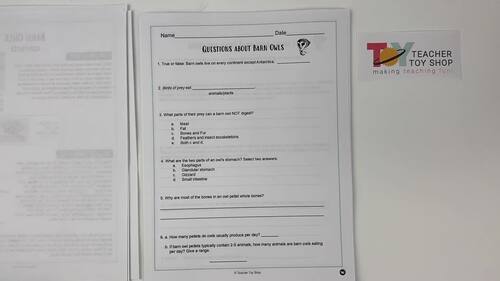 Owl Pellet Dissection Lab & Owl Unit with Bone Chart, Dichotomous Key ...