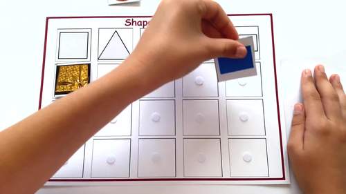 Sorting Shapes for Autism and Special Education by Angie S | TpT