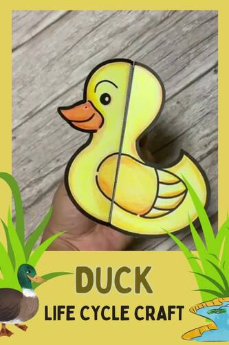 Foldable Duck Life Cycle Learning Activity For Kids | A4 by Life Blueprints