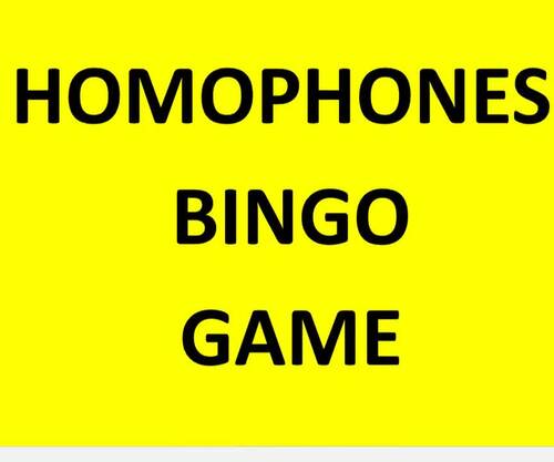 End of Year and Summer Homophones BINGO Vocabulary Game by TeachDEZway