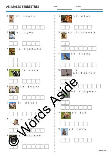 Spanish Vocabulary Worksheets Cards Crossword Word Search Anagram LAND ...