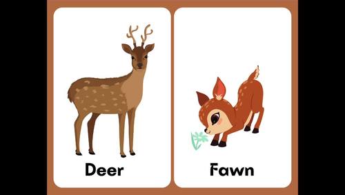 Animals and their babies. Printable & Digital Cards for K & Prek ...