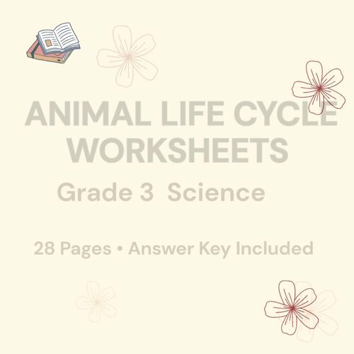 Animal Life Cycle Worksheets – Grade 3 (Hands-on + Answer Key) | TPT