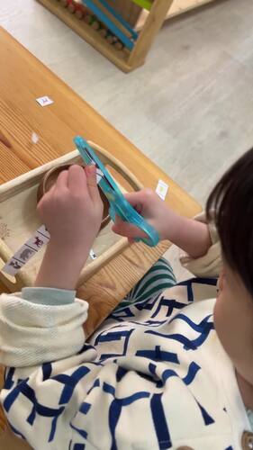 Simple Cutting Strips for Scissor Practice – Animals | TPT