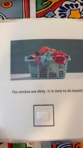 Adapted Book: Let's Talk about Laundry by Life Skills 2 Learn | TPT