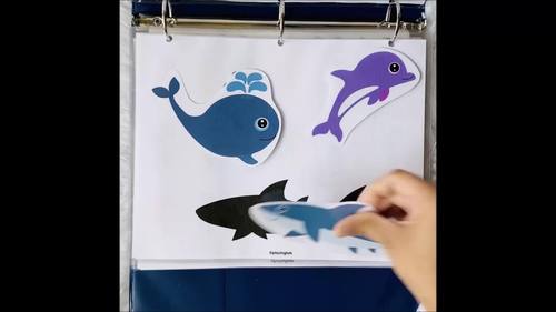 Sea Animals Busy Book, Learning Binder, Quiet Book, Toddler Learning Folder