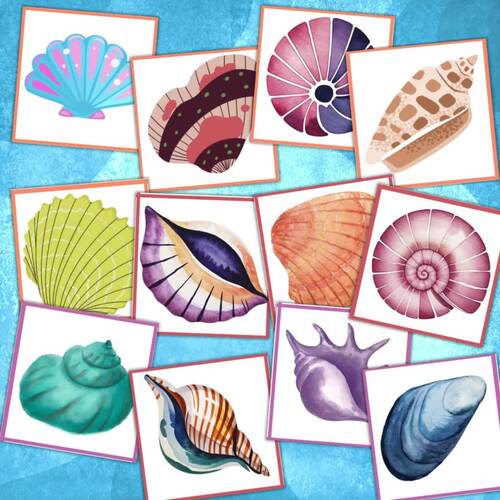 Seashells Memory Matching Game, Kids Matching Game, Nature Matching Cards