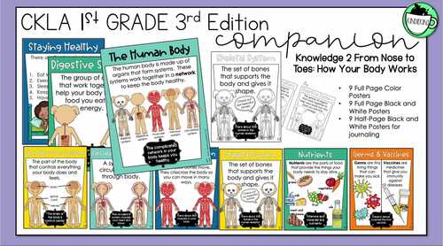 CKLA (3rd Edition) 1st Grade Knowledge 2 Companion: From Nose to Toes