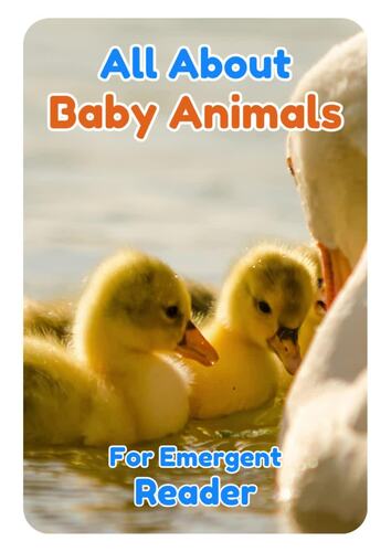 All About Baby Animals- Early Emergent Reader eBook & PDF Printable Reading