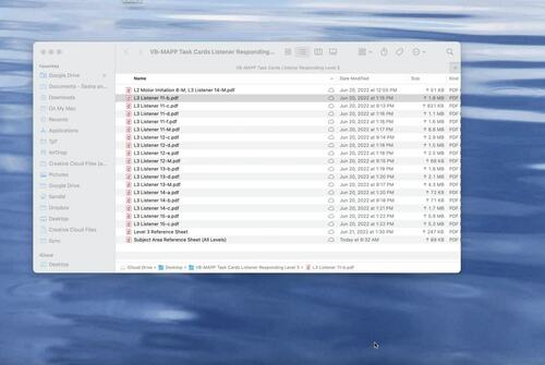VB-MAPP Task Cards: Listener Responding Level 3 by The Autism Helper
