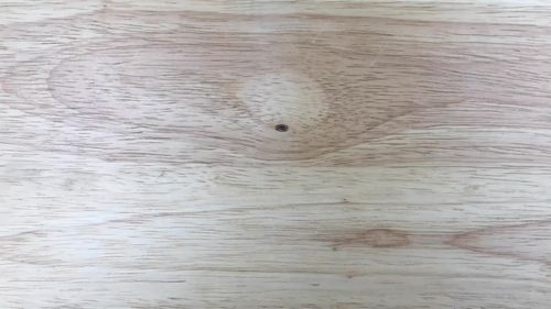 Global Citizenship | Year 6 HASS Australian Government Citizenship and ...