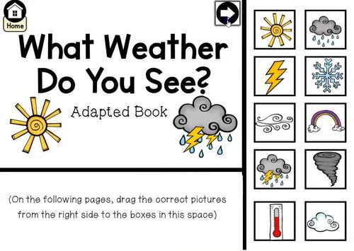 Vocabulary Builder and Beyond: Weather (Boom™ Cards) Digital/Teletherapy