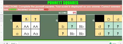 Punnett Squares Digital Google Sheetsᵀᴹ Activity by Abaco Education Zone