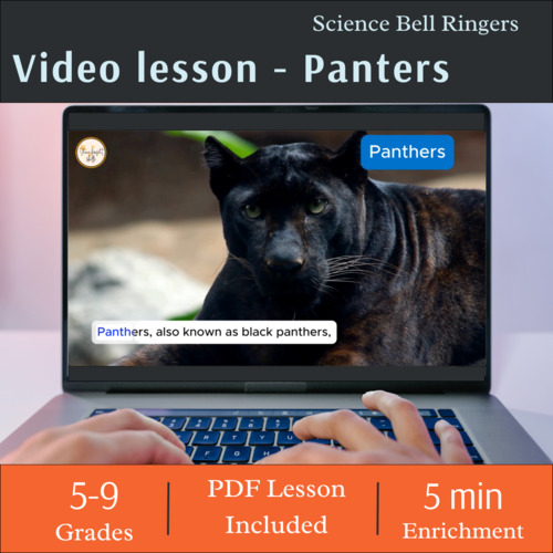 Science bell ringer video (4 min) - Panthers - Middle school | TPT