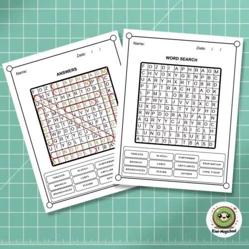 Human Lungs Anatomy Labeling | Respiratory System & Gas Exchange (No Prep)