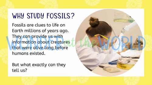 What Fossils Tell Us Fossil evidence PowerPoint slideshow presentation