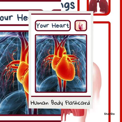Human Body Flashcards, Biology flashcards. by StarGo | TPT