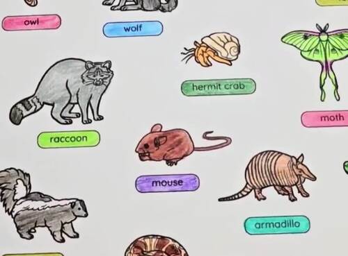 Diurnal and Nocturnal Animals, Posters and Animal Report, Day and Night ...