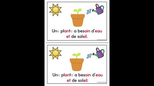 FRENCH Decodable Readers for Science - les êtres vivants | French ...