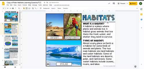 Polar Animal Habitat, Polar Animal Sort, Winter Animal Adaptation ...