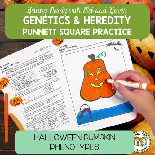 Genetics | Fall Halloween Pumpkin Craft & Punnett Square Practice