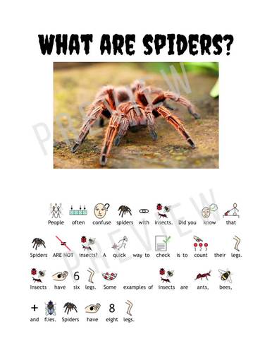 What Are Spiders? | Symbol Supported Reading by Differentiated Education